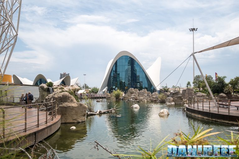 Oceanografic Valencia - Reportage of the biggest Aquarium in Europe