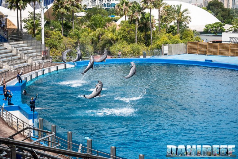 Oceanografic Valencia - Reportage of the biggest Aquarium in Europe