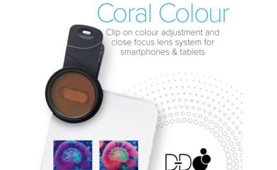 coral colour lens per fare fotografie perfette in acquario con lo ...