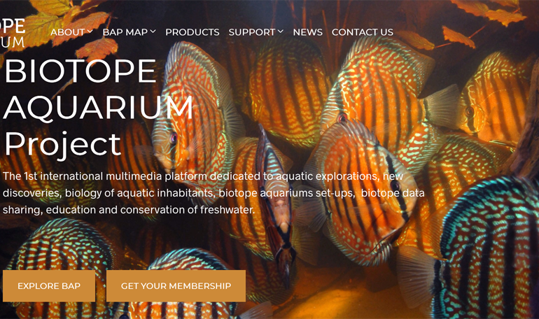 Biotope Aquarium Contest Marine: un contest dedicato ai biotopi marini