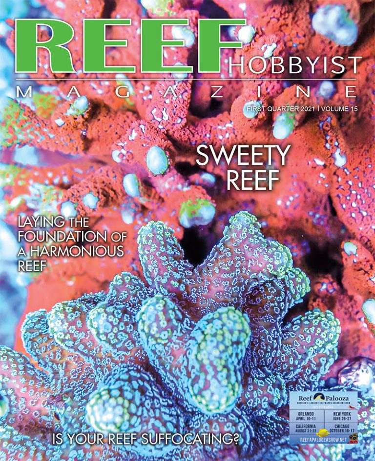 Reef Hobbyist Magazine primo trimestre: sweety reef