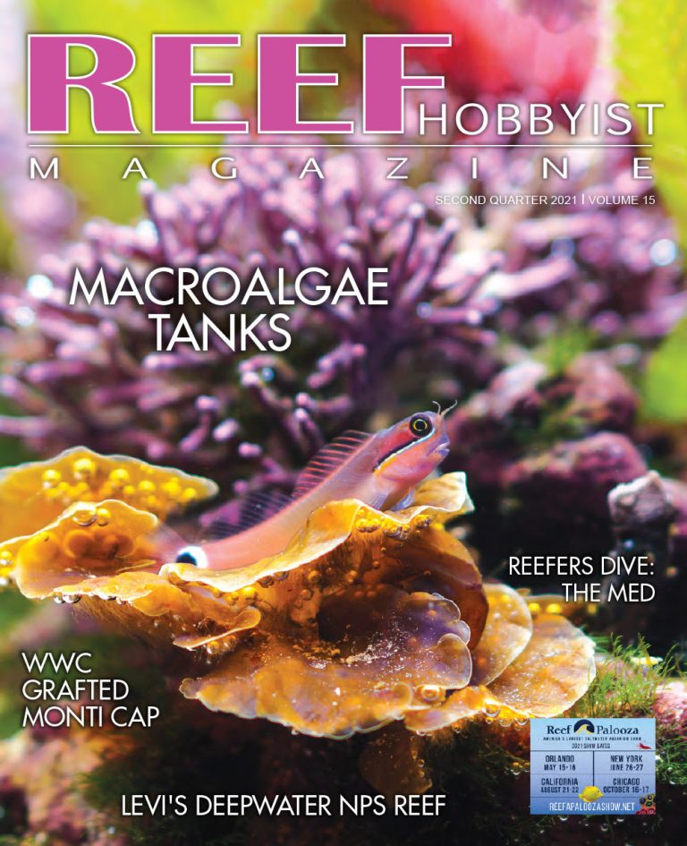 Reef Hobbyist Magazine secondo trimestre - disponibile e gratis per tutti