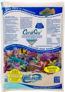 Sabbia viva: ma serve davvero e cosa cambia da una sabbia normale?