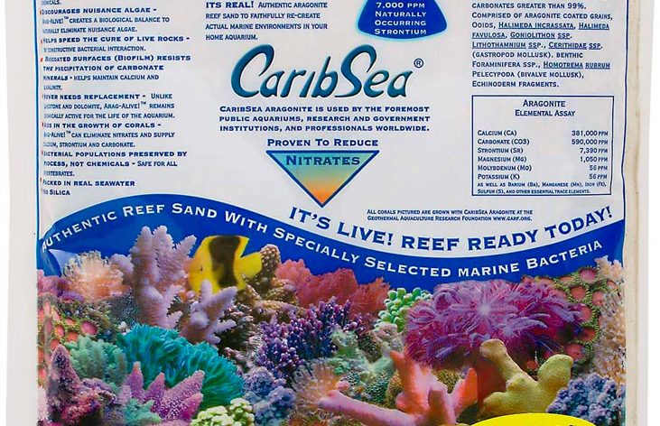 Sabbia viva: ma serve davvero e cosa cambia da una sabbia normale?