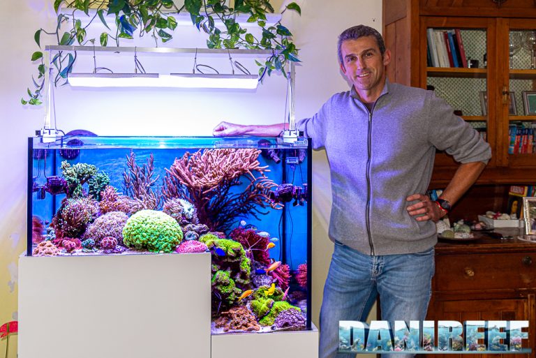 The spectacular drop-off aquarium of Federico Lavezzi