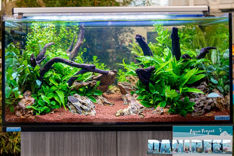 Acquari dolci, aquascaping e marini nell'Aqua Project a Zoomark 2021