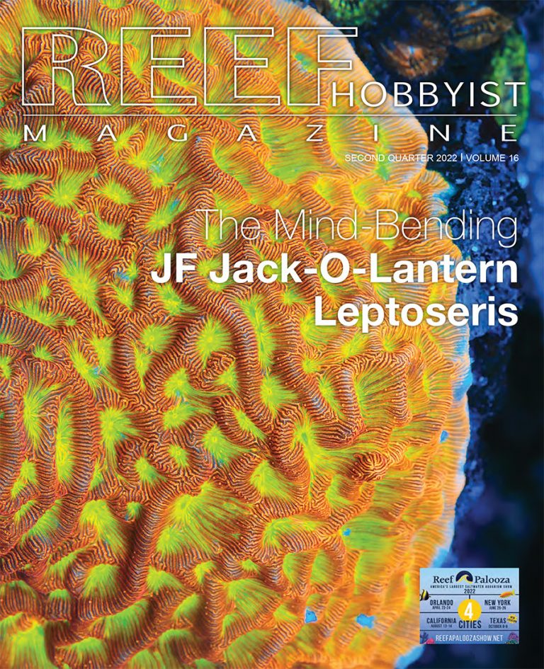 Reef Hobbyist Magazine secondo trimestre 2022 - disponibile gratis
