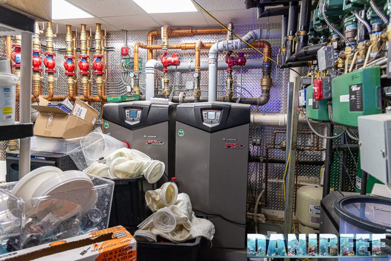 Polo Reef: we visited the world's most beautiful marine aquarium