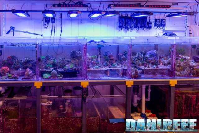 Polo Reef: we visited the world's most beautiful marine aquarium