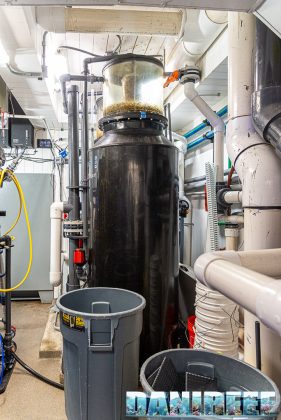 Polo Reef: we visited the world's most beautiful marine aquarium