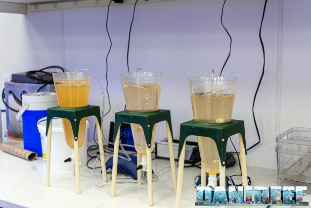 Polo Reef: we visited the world's most beautiful marine aquarium