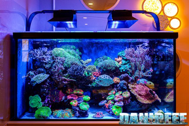 Polo Reef: we visited the world's most beautiful marine aquarium