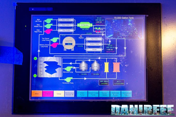 Polo Reef: we visited the world's most beautiful marine aquarium