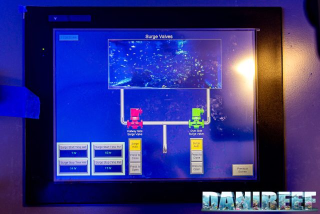 Polo Reef: we visited the world's most beautiful marine aquarium