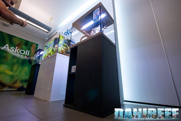 Nuovo acquario Askoll Opera presentato in un evento dedicato