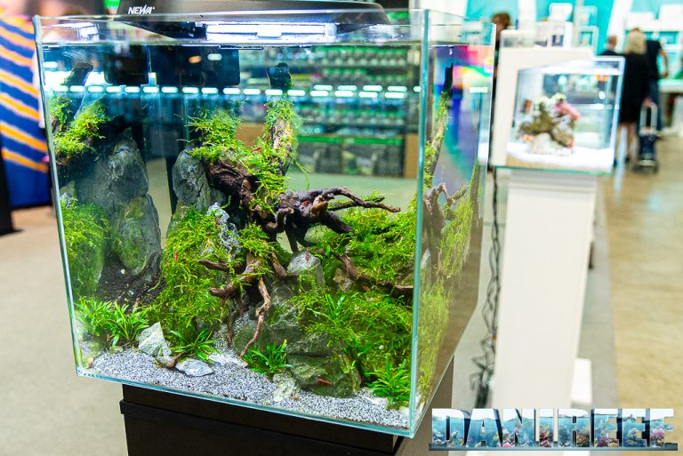 Newa presenta EGO: il nuovissimo acquario a PetsFestival 2023