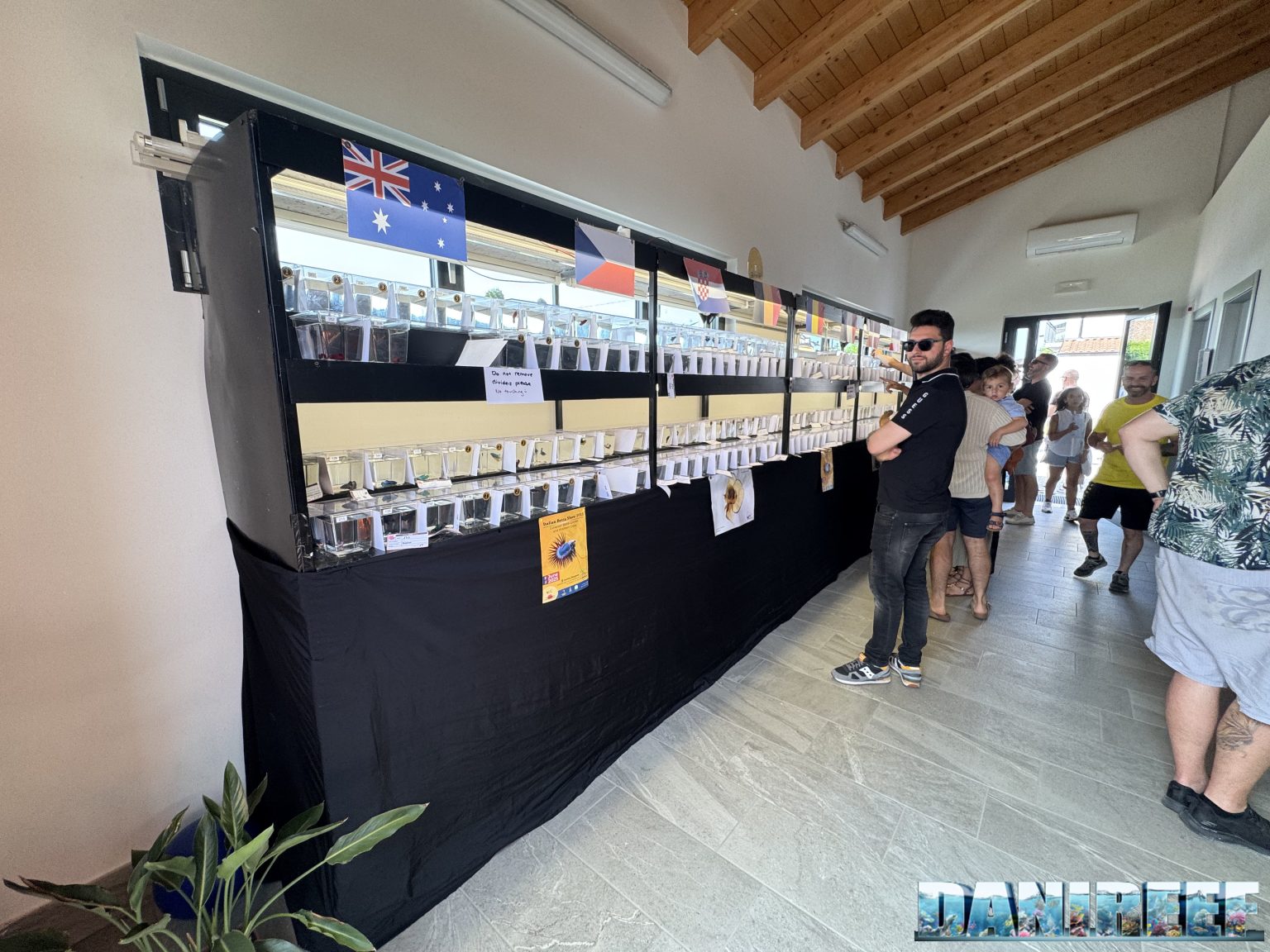 Italian Betta Show 2025: Un Evento Imperdibile