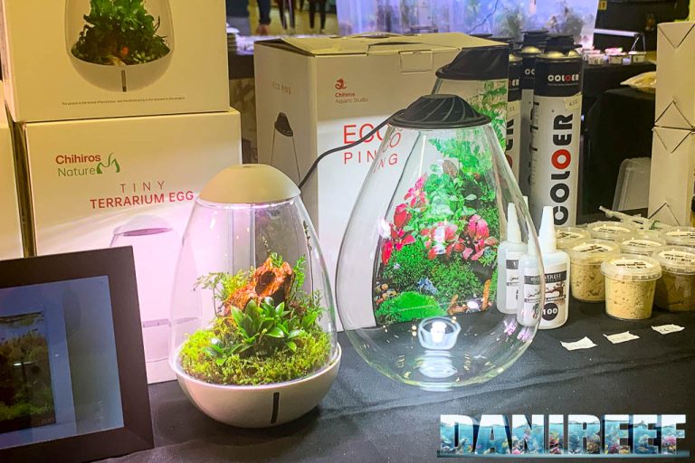 Agri Pet Garden stupisce ad AquariaItalia 2025: ADA, piante rare e una ...